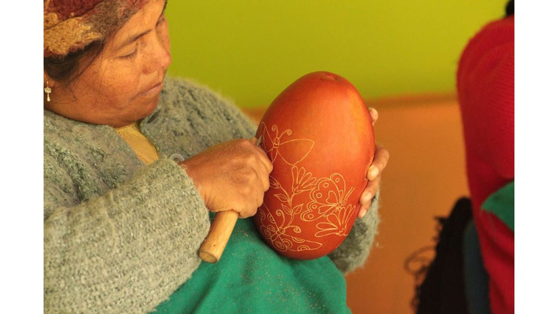 Gourd Collection – Zee Bee Market LLC