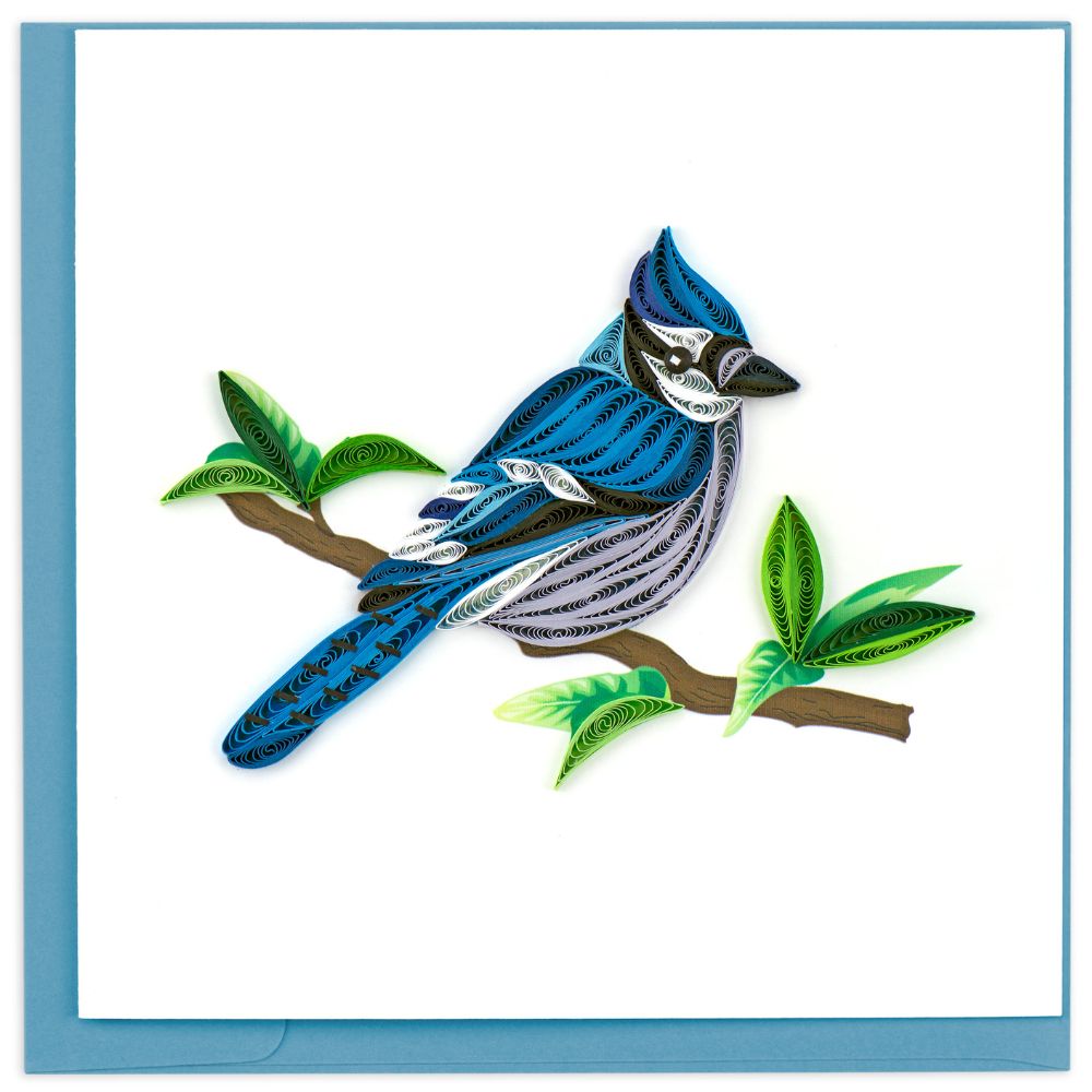 Gifts for Bird Lovers – Tagged "Quilled Blue Jay Greeting Card"– Zee ...