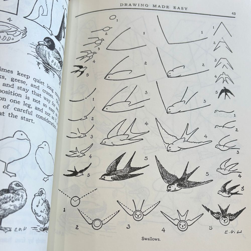 Kids & Teens – Tagged "Drawing Made Easy - A HELPFUL BOOK FOR YOUNG ...