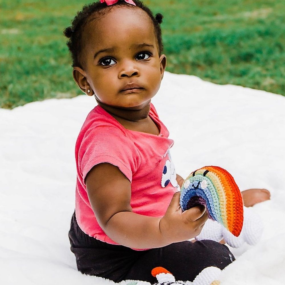 Pebble Friendly Rainbow Rattle – Zee Bee Market LLC